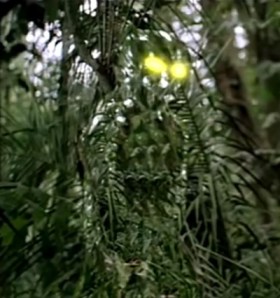 Predator Is Surprisingly Deep for an Action Movie | Deja Reviewer