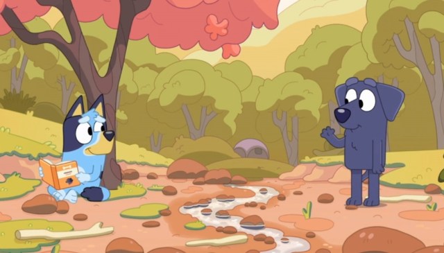 Want to Know What Jean-Luc is Saying in the ‘Camping’ Episode of Bluey ...